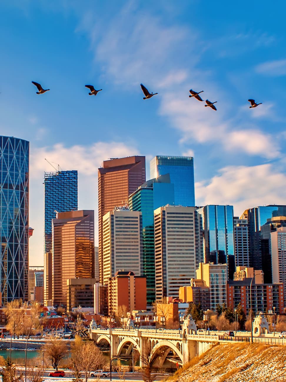 Que réserve 2026 à l’immobilier commercial de Calgary? | CBRE Canada