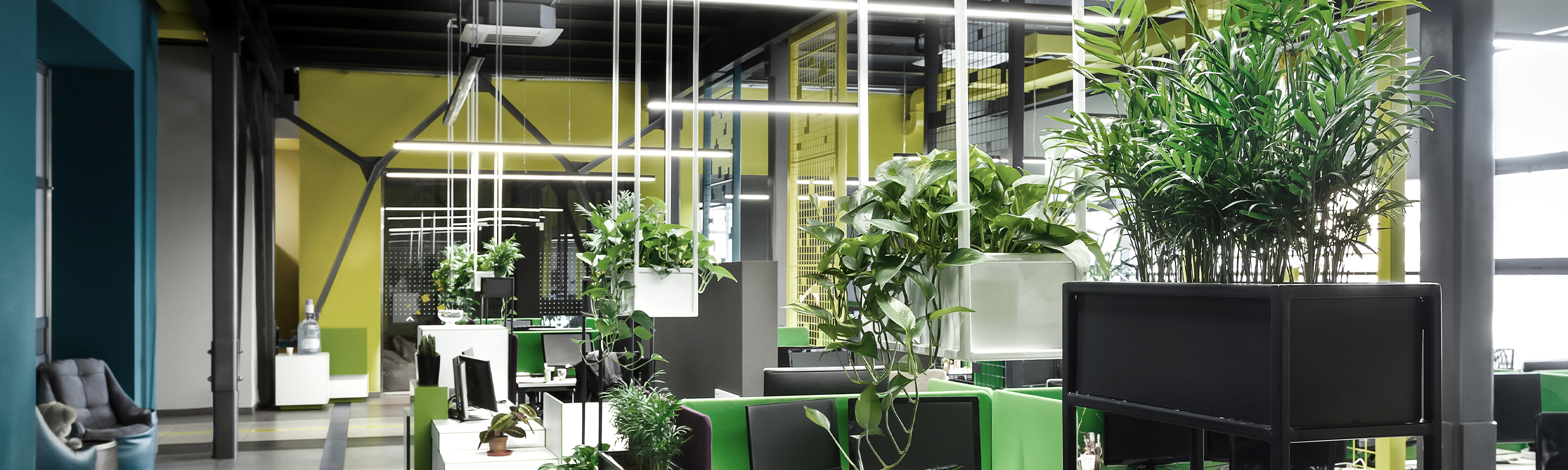 Digital advisory services | CBRE France