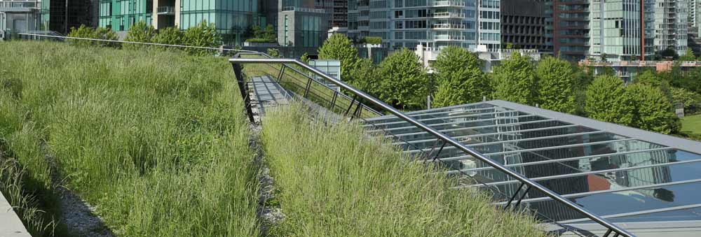 Decarbonizing Commercial Real Estate | CBRE