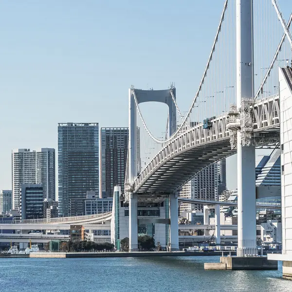 2026 Global Investor Intentions Survey | CBRE UK